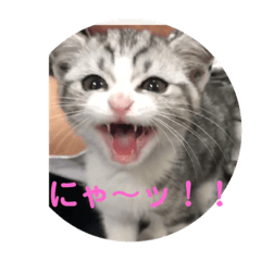 ryo_20221018223931 – Stickers LINE | LINE STORE