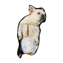 Cyril_20221019163856 – LINE stickers | LINE STORE