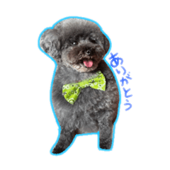 KUMAO_20221021123007 - Stiker LINE | LINE STORE