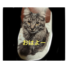 marosan_20221023225439 – LINE貼圖 | LINE STORE