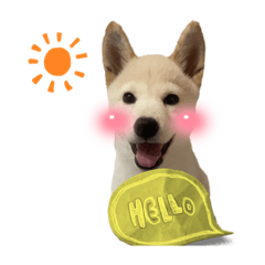 Mia lin_20221025232859 – LINE stickers | LINE STORE