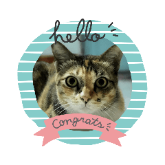 foythong_98765 - LINE スタンプ | LINE STORE