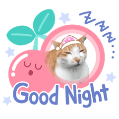 Wen_20221025183322 - LINE スタンプ | LINE STORE