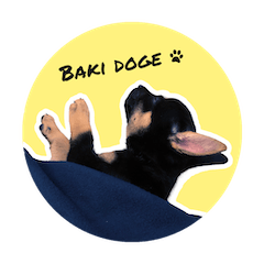 Baki.doge – LINE貼圖 | LINE STORE