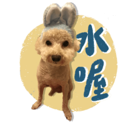 Winnie Kao's daily – LINE stickers | LINE STORE