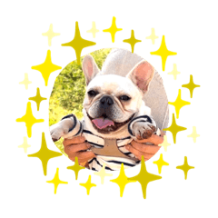 Momo_20221027210748 – LINE stickers | LINE STORE