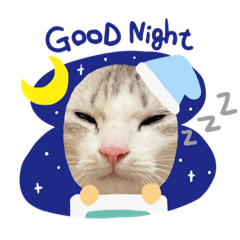 Niiii_20221028153042 – LINE stickers | LINE STORE