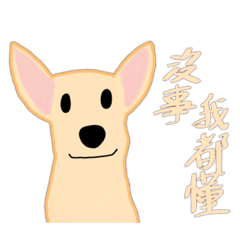 haha_20221028222159 - Stiker LINE | LINE STORE