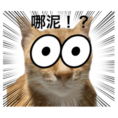 Boss Lee_20221029165546 – LINE stickers | LINE STORE
