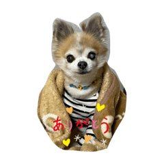 Ruuu_20221030182030 – LINE stickers | LINE STORE