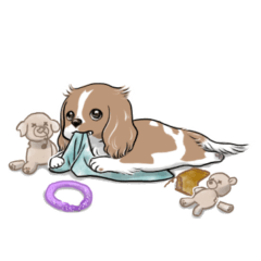 cava sticker - Stiker LINE | LINE STORE