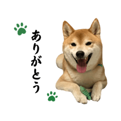 nana_20221101010615 - Stiker LINE | LINE STORE