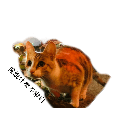 guu_20221101194205 - Stiker LINE | LINE STORE