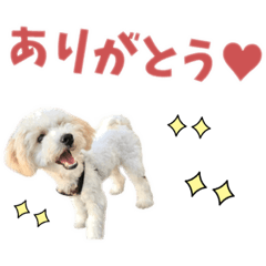 amuchan._20221103003717 – LINE 스티커 | LINE STORE