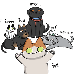 Kantee and friends – LINE stickers | LINE STORE