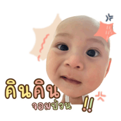 Kin Kin , – LINE stickers | LINE STORE