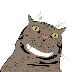 Kelly cats. – LINE stickers | LINE STORE