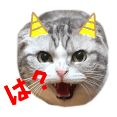 nyanpi_20221114175020 – LINE貼圖 | LINE STORE