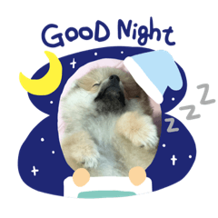 Hachikun v.1 – สติกเกอร์ LINE | LINE STORE