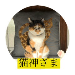 猫神さまニャニャニャニャ〜スタンプ - LINE スタンプ | LINE STORE