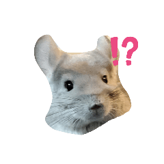 MIYU_20221115152109 – LINE stickers | LINE STORE