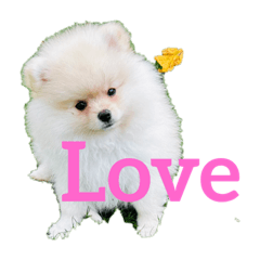 JaiDee Pom 2 - LINE スタンプ | LINE STORE