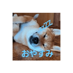 ma-ko89_20221117190934 – LINE stickers | LINE STORE