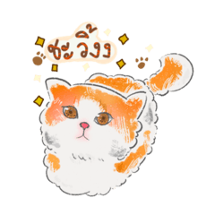Yoshi cat(^••^) – สติกเกอร์ LINE | LINE STORE