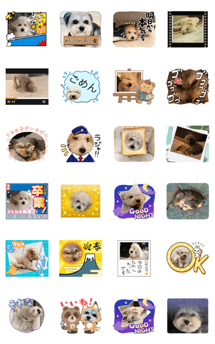 【スタンプ無料GET!】 【全24種】スノアロコのLINEスタンプ集!!｜ Stampick! （スタンピック）