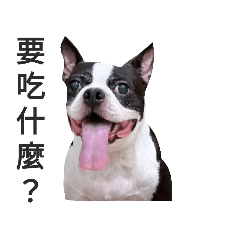 Gibi_20221119150747 - LINE スタンプ | LINE STORE