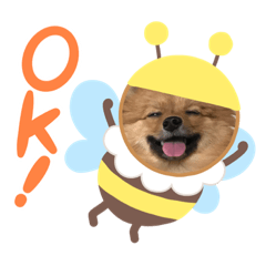 Tylee_20221121152251 - Stiker LINE | LINE STORE