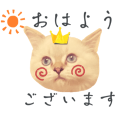 be quiet_20221120233241 – LINE stickers | LINE STORE