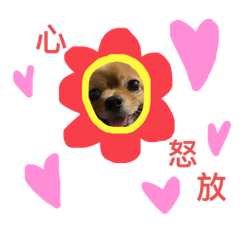 Lindaaa_20221120160820 – LINE 스티커 | LINE STORE