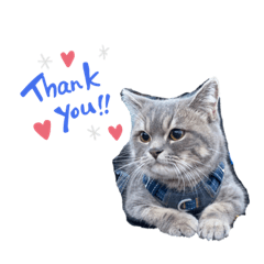 LoBoBo_20221122022958 - LINE スタンプ | LINE STORE