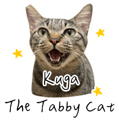 Kuga The Tabby Cat (Revised Version) – LINE stickers | LINE STORE