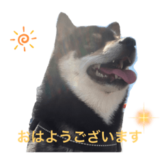 mosari_20221122194457 - Stiker LINE | LINE STORE