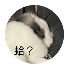 Zsh_20221123185628 - LINE スタンプ | LINE STORE