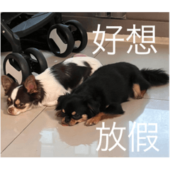 Ruby Lu_20221124200850 – LINE stickers | LINE STORE