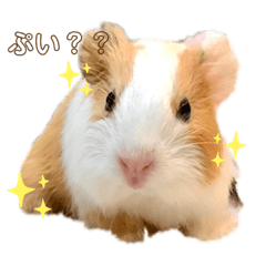 marisa_20221124212853 – Stickers LINE | LINE STORE