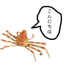 KKKHHH_20221126091714 – Stickers LINE | LINE STORE