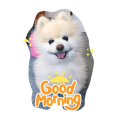 beru_pome_cute - Stiker LINE | LINE STORE