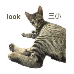 yongjie_20221128181135 - LINE スタンプ | LINE STORE