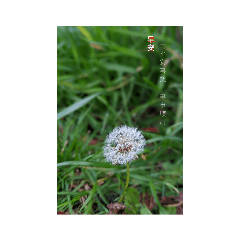 Ponkan is a cat_20221202095035 - LINE スタンプ | LINE STORE