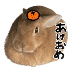 shion_20221203212044 – LINE stickers | LINE STORE