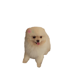 nongtinglyza - LINE スタンプ | LINE STORE