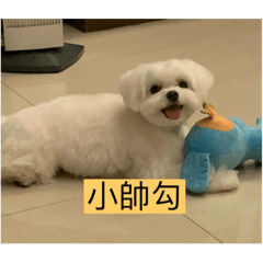 LuLuMe_20221207232849 - LINE スタンプ | LINE STORE