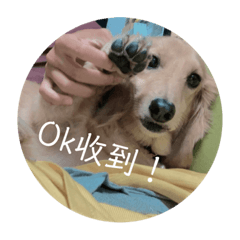 Wu pei yu_20221209171703 – LINE stickers | LINE STORE