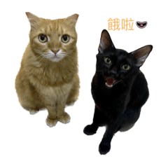 Liyna_20221211215830 - Stiker LINE | LINE STORE