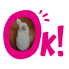 Ralphie the rabbit – LINE stickers | LINE STORE