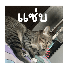 Thaw nea_20221215193018 – LINE stickers | LINE STORE